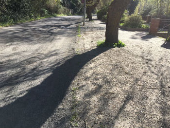 Al via la bitumazione della strada statale 561 che attraversa Pergusa ...