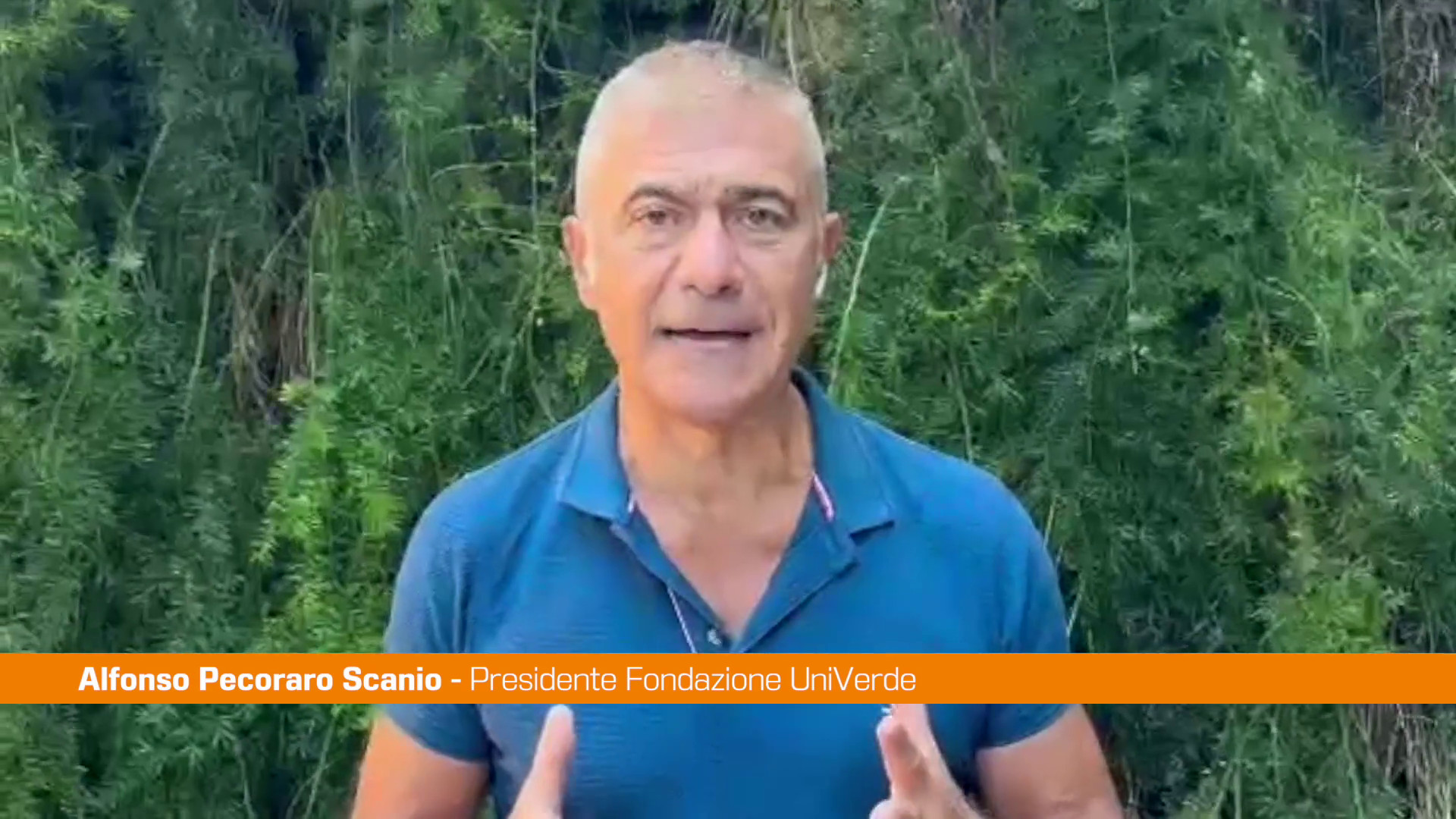 Pecoraro Scanio "Sottovalutato allarme esperti sui pini di Roma ...