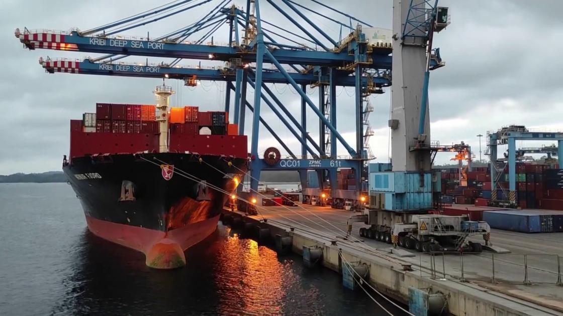 Stati Uniti, il settore cargo marittimo verso la ripresa - vivienna.it