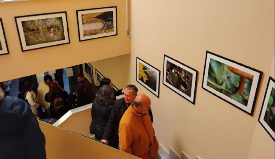 Micromondi, inaugurata a Villapriolo la mostra di Vizzini - vivienna.it