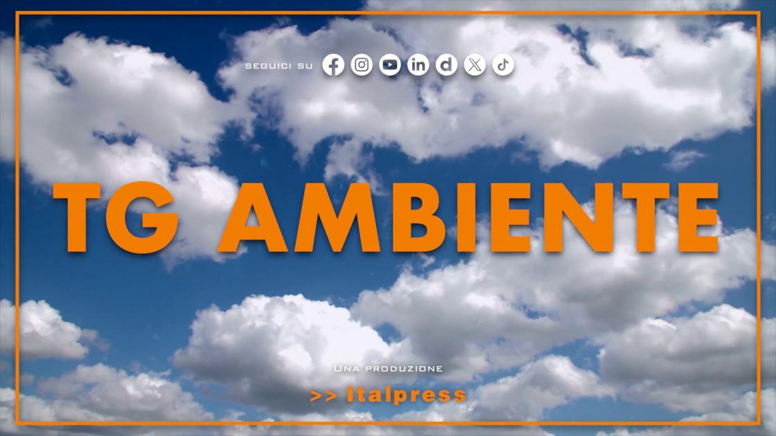 Tg Ambiente - 31/5/2026 - vivienna.it